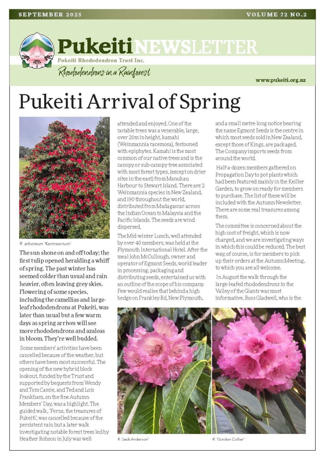 Newsletter Archive | Pukeiti Rhododendron Trust Inc.